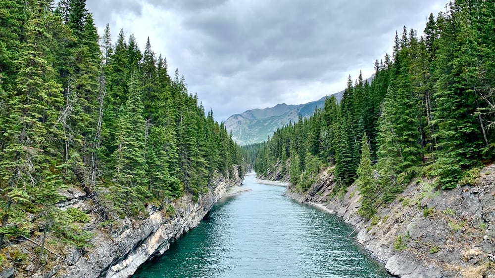 Best Places to Fish In Banff National Park: Anglers Guide