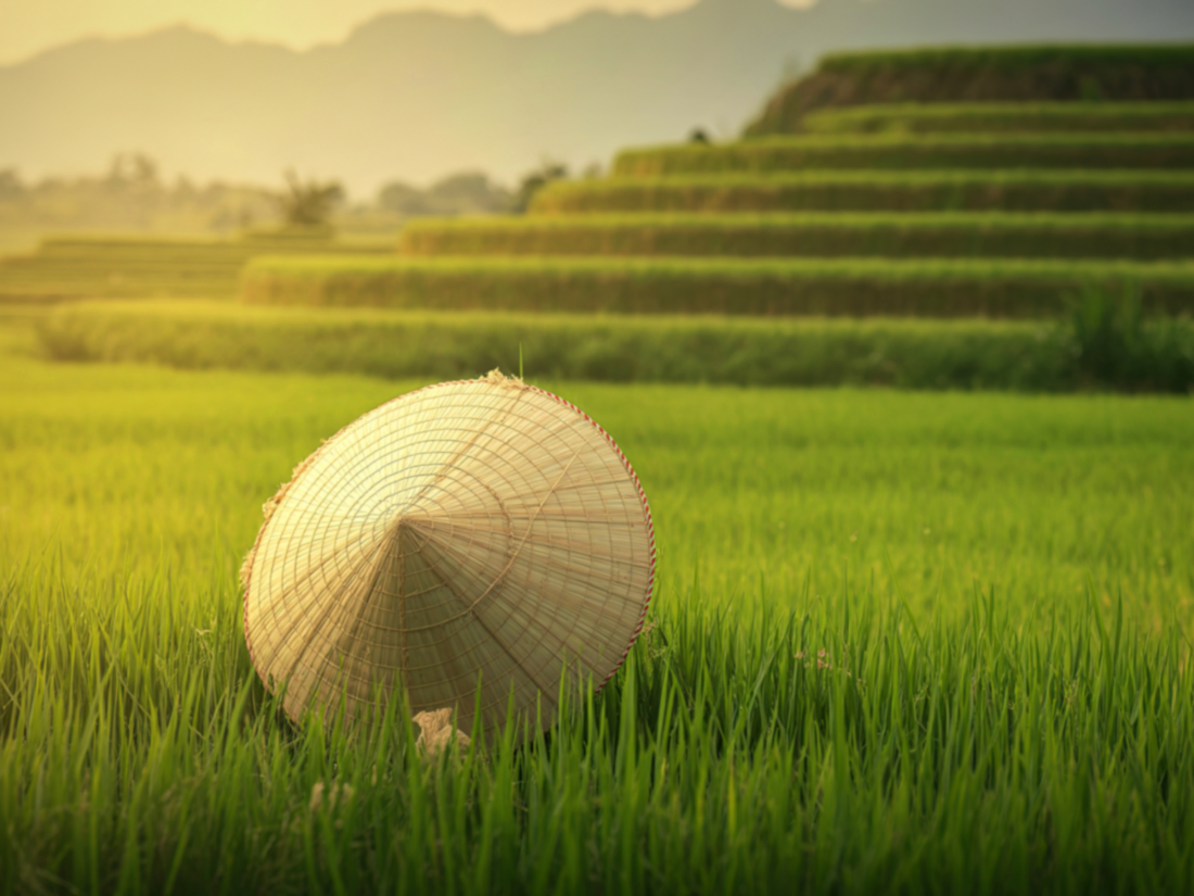 Cheapest Time to Fly to Vietnam (and the Most Expensive)